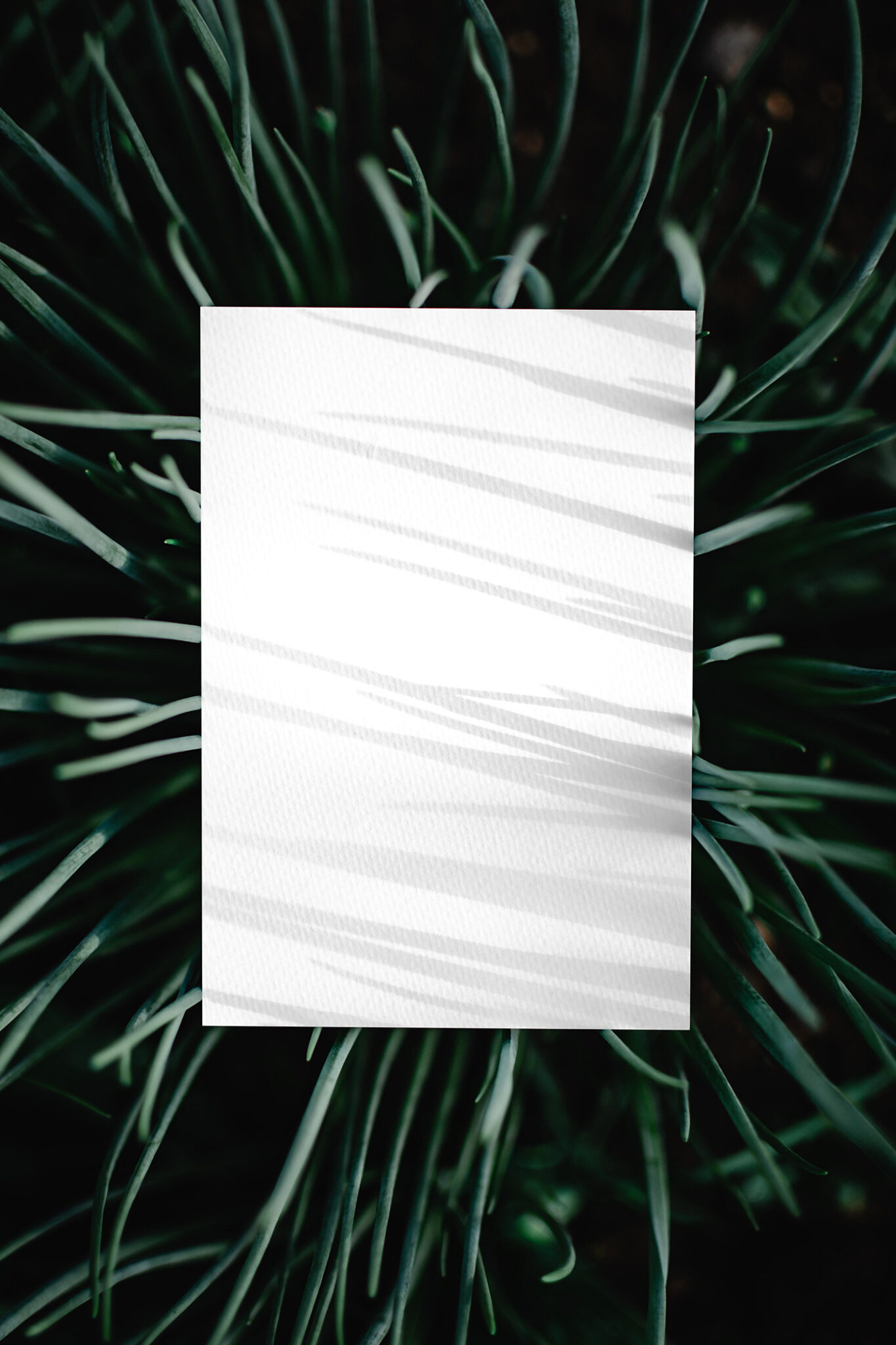 Free Paper Card in Grass Mockup - mockupbee